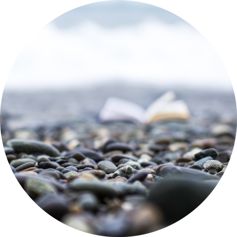 Insights | The Wright Perspective | Dr. Lorraine M. Wright